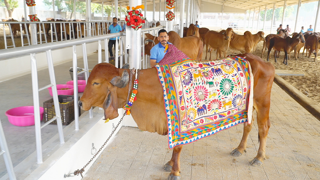Shree Swaminarayan Mandir - Vadtal